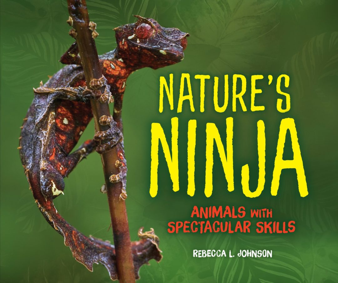 BOOKS | Rebecca Johnson Books