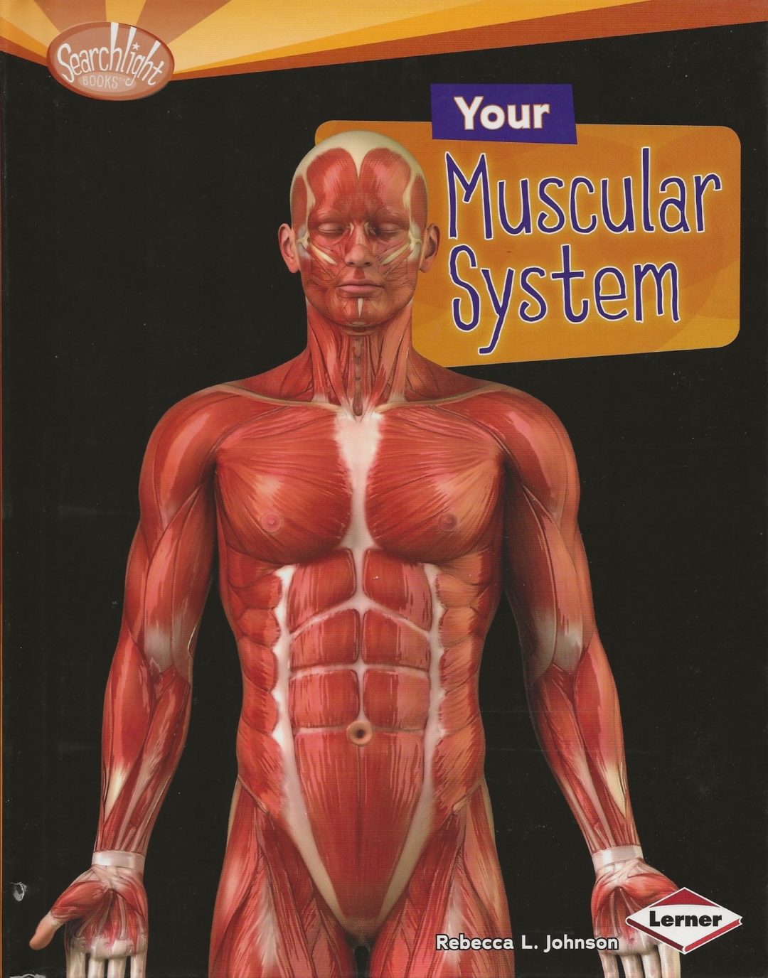 Your Muscular System | Rebecca Johnson Books